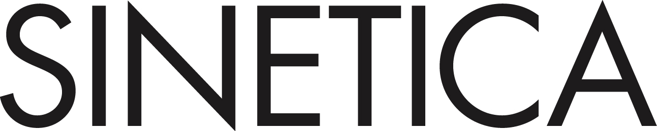 SINETICA_LOGO_304dpi_PNG.png — UNIUD - Università degli Studi di Udine